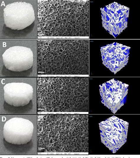 Figure 2 From N Acetylglucoseamine Modified Alginate Sponges As Scaffolds For Skin Tissue