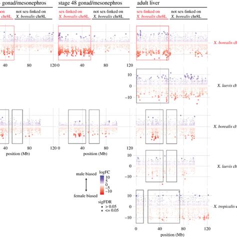 Comparative Transcriptomics Illustrates That Female Biased Expression