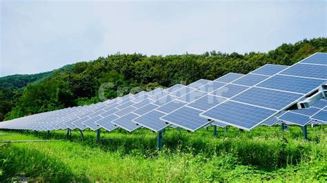 태양광 태양전지판 태양광발전소 태양광패널 태양광설치 사진이미지일러스트캘리그라피 Photobw작가