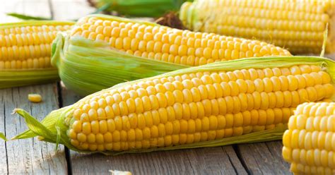 Is Corn Kosher For Passover Heres What You Need To Know