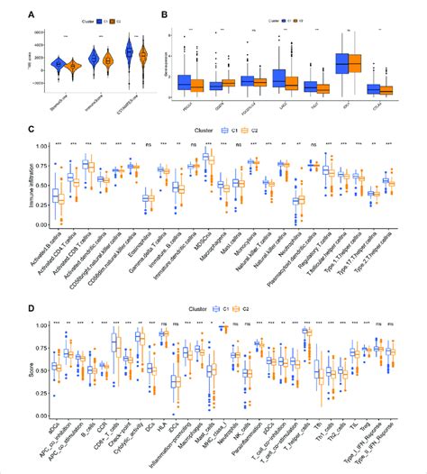 Tumor Immune Microenvironment Between Cuproptosis Related Patterns A