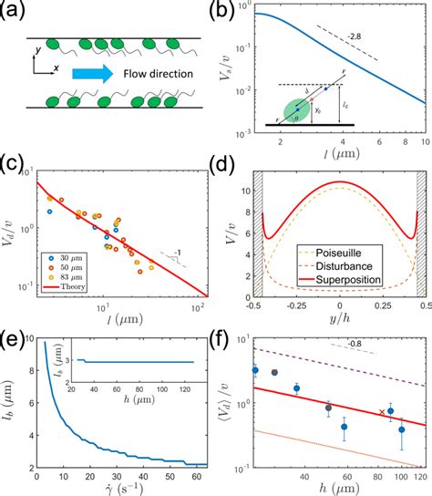 Boundary Layer Model A Schematic Of Our Numerical Model B Download Scientific Diagram