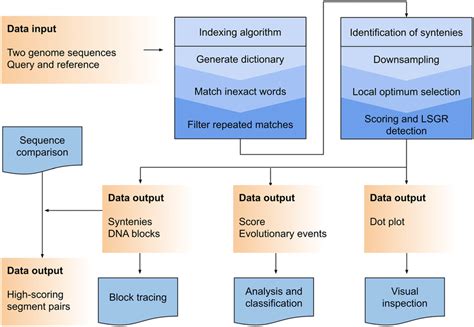 Workflow Diagram Of The Proposed Methodology The Query And Reference Download Scientific