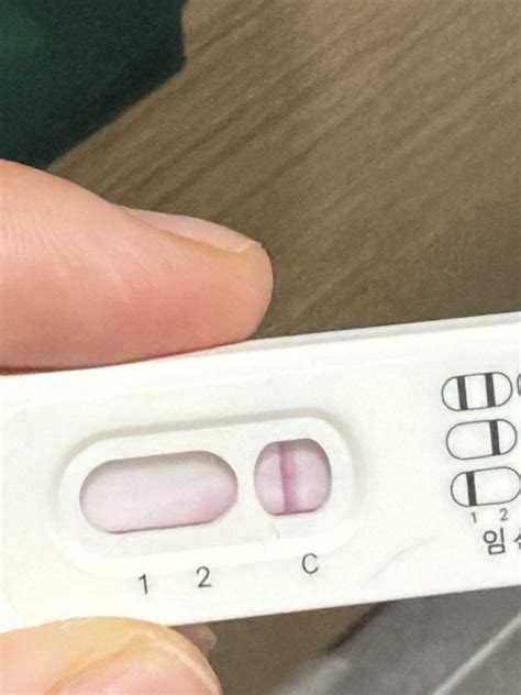 임신테스트기 두줄 아니겠죠 지식in