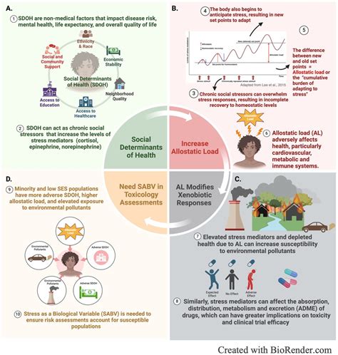Biological Factors