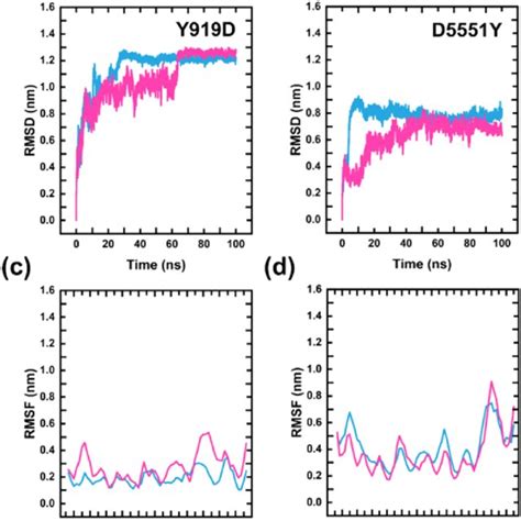 Rmsd And Rmsf A B Rmsd Of The Wt And Mt Of Both Targeted Domains Download Scientific