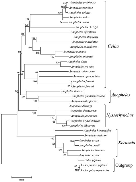 Minimum Evolution Tree Showing The Phylogenetic Relationships Among 28