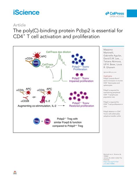 Pdf The Polyc Binding Protein Pcbp2 Is Essential For Cd4 T Cell