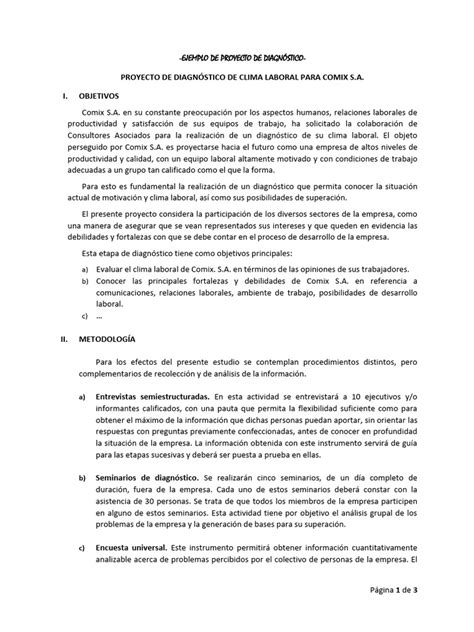 Ejemplo De Proyecto De Diagnóstico Pdf