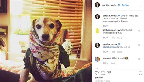 Kit Frederiksen 7 Facts You Didnt Know About Perdita Weeks Husband