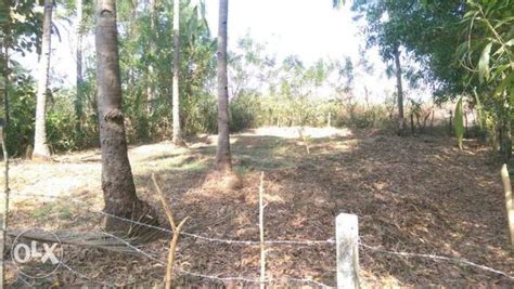 30 Cent Square Plot Near Kareelakulangara Junction Just Kerala Real Estate