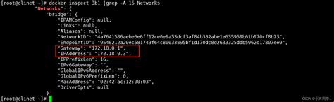 【云原生docker】09 docker网络详解 csdn博客