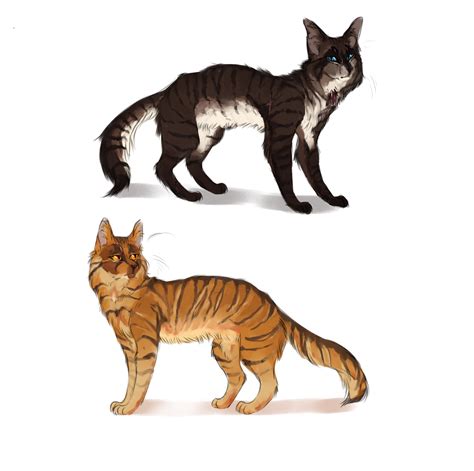 Hawkfrost And Mothwing By Kefch4 On Deviantart