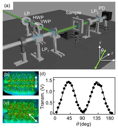 A Optical Set Up For Rotating Incident E Field Polarization Lp Download Scientific Diagram