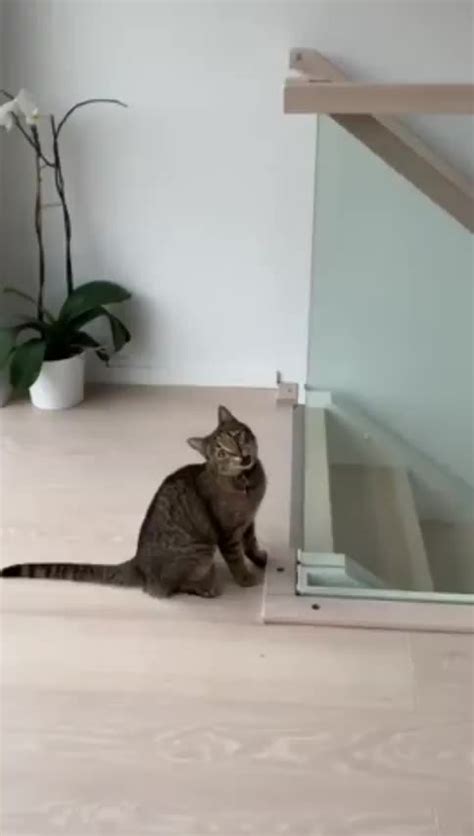 Practice Makes Perfect  On Imgur