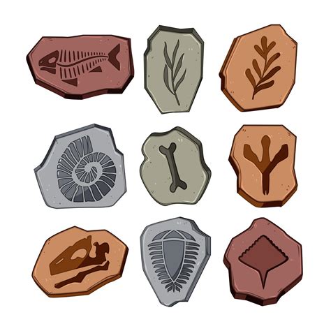 Fossil Set Cartoon 68878863 Vector Art At Vecteezy
