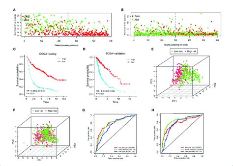 Analysis Of The Testing Cohort And Validation Cohort A B Survival