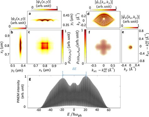 Final Distributions Of The Reduced Density Matrices Of An Unpolarized Download Scientific