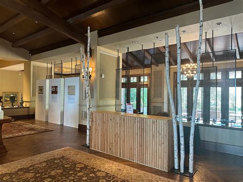 Tall Aspen Tree Clusters All Out Event Rental