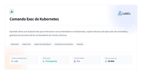 Comando Exec De Kubernetes Labex