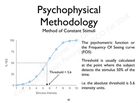 Lecture 6 Psychophysics Flashcards Quizlet