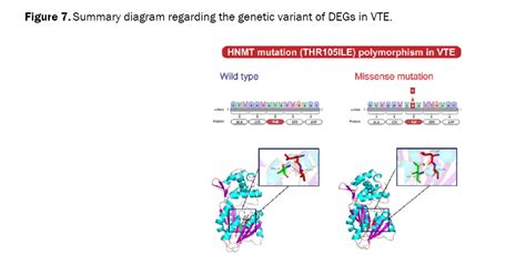 Integrated Transcriptome Wide Profiling And Protein Structure Analysis Of Pathogenic Genes In