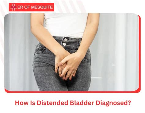 What Causes A Distended Bladder Warning Signs To Know