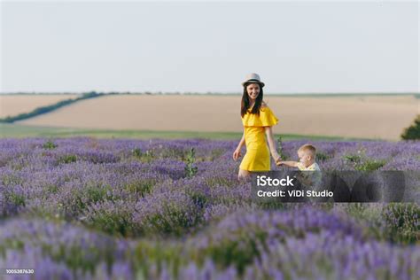 보라색 라벤더 꽃 초원 필드 배경 나머지 노란색 드레스 도보에 젊은 여자 작은 귀여운 아이 아기 노는 재미가 있다 어머니 작은 아이 아들 가족의 날 부모 어린이 개념입니다