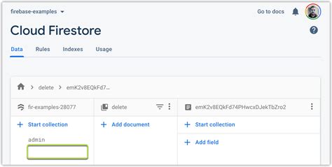 firebase admin sdk in examples the admin sdk lets you interact with