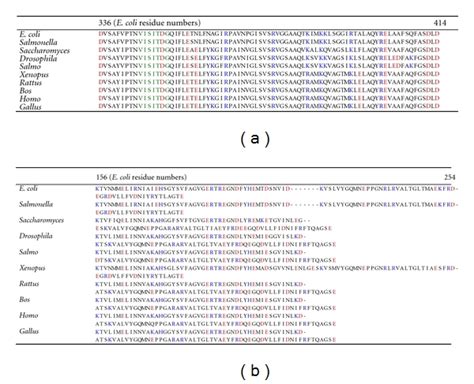 sequence alignment of α and β subunit residues α and download