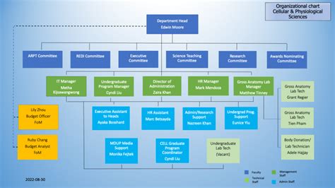 Organizational Chart Department Of Cellular And Physiological Sciences