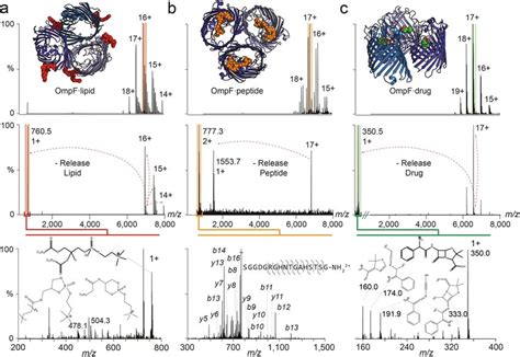 Nativeomics Defines Lipid Peptide And Drug Bound To The Trimeric Download Scientific Diagram