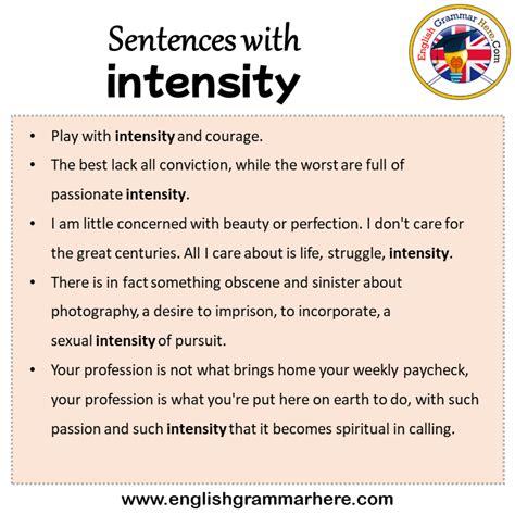 Sentences With Intensity Intensity In A Sentence In English Sentences