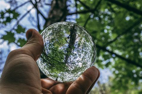 Ecology Of The Future
