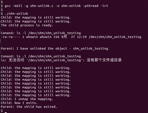 IPC之八使用 POSIX 共享内存进行进程间通信的实例 whowin 发表我个人原创作品的技术博客