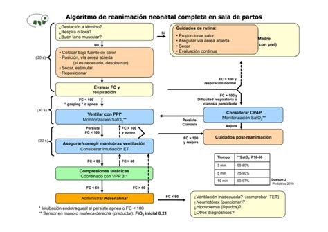 Algoritmo De Reanimación Neonatal Completa En Sala De Partos
