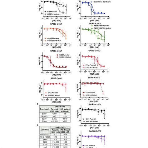 Hexamer Formation Detected Using Facs Based C1q Binding Assay A Download Scientific