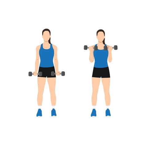 Bicep Curls Diagram 10 Best Bicep Curl Variations To Build Muscle In Bicep Curls Diagram 10 Best Bicep Curl Variations To Build Muscle In