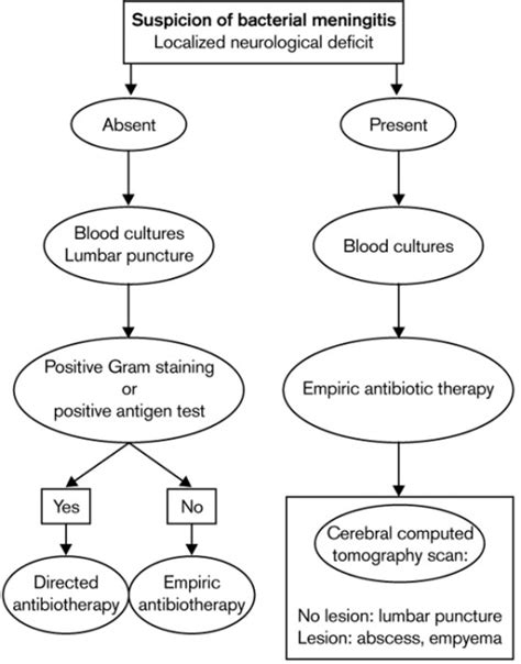 Management Algorithm In Case Of Suspicion Of Bacterial Open I