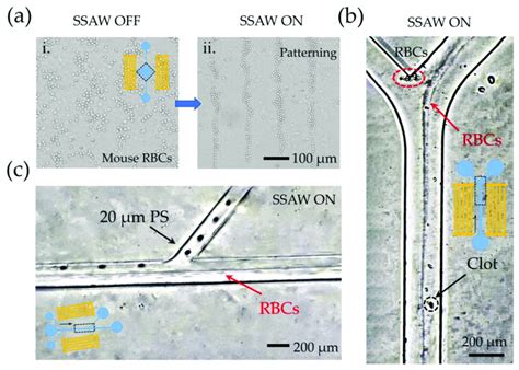 Experimentation On The Actual Application Capability Of The