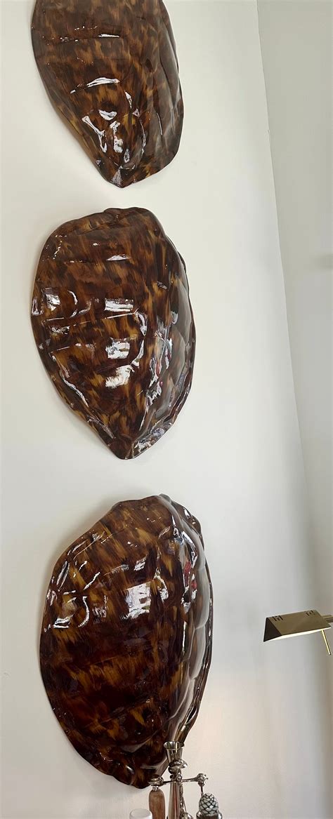 Large Tortoise Shell — Living With Ivey