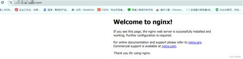 Docker 使用 Nginx 并配置域名nginx绑定域名 Csdn博客