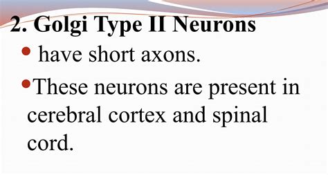 Nervous System Neuron And Neuroglial Cells Structure Of Neuron And