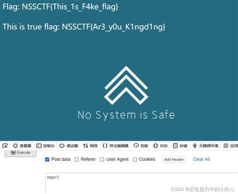 Php安全挑战中的rce、ssti与代码审计：实战解析 Csdn博客
