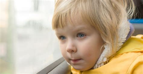 Improving Transport Through Enhanced Partnerships • Bus Users