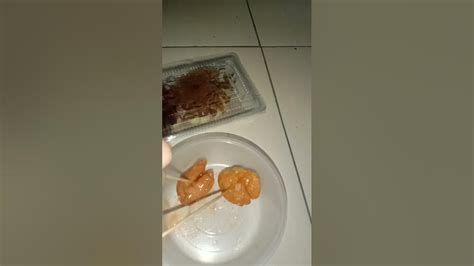 Makan Bakso Goreng Youtube
