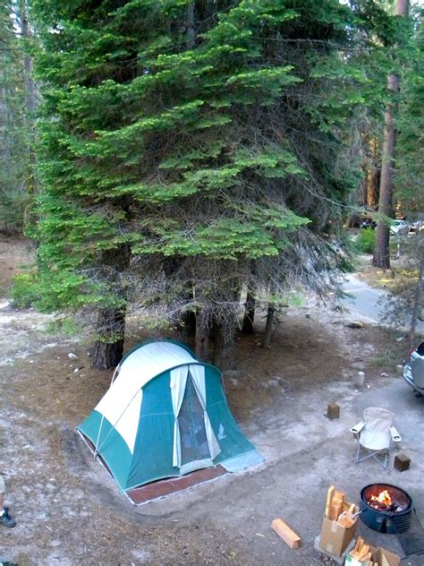Lodgepole Campground In Sequoia National Park California Reviews And