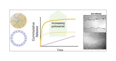 Polyester Nanoparticles And Polyurethane Nanocapsules Deliver Pirfenidone To Reduce Fibrosis And
