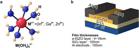 a structure of hexaaqua metal complexes mⁿ⁺ in³⁺ ga³⁺ zn²