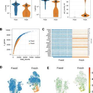 PDF SnPATHO Seq Unlocking The FFPE Archives For Single Nucleus RNA Profiling